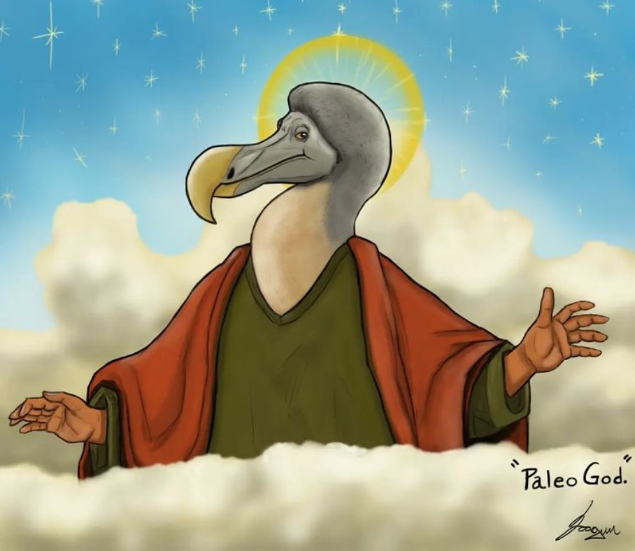 Paleo-tiendas y servicios | Museo Virtual Nacional