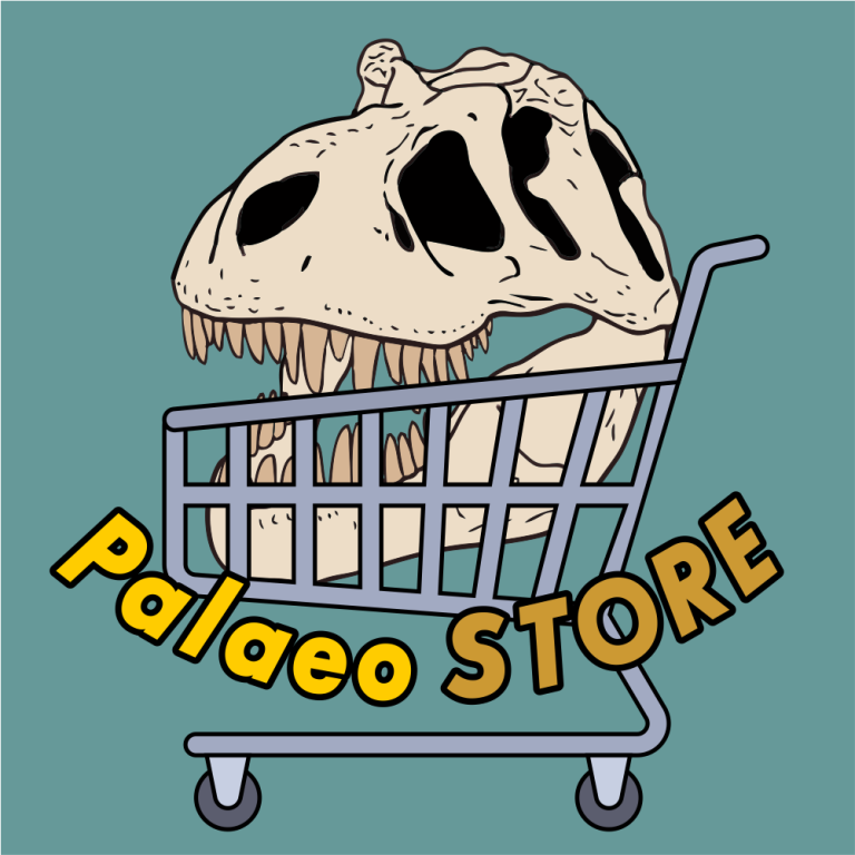 Paleo-tiendas y servicios | Museo Virtual Nacional